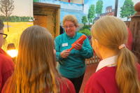 Hazard Alley - The Region's Leading Safety Education Charity